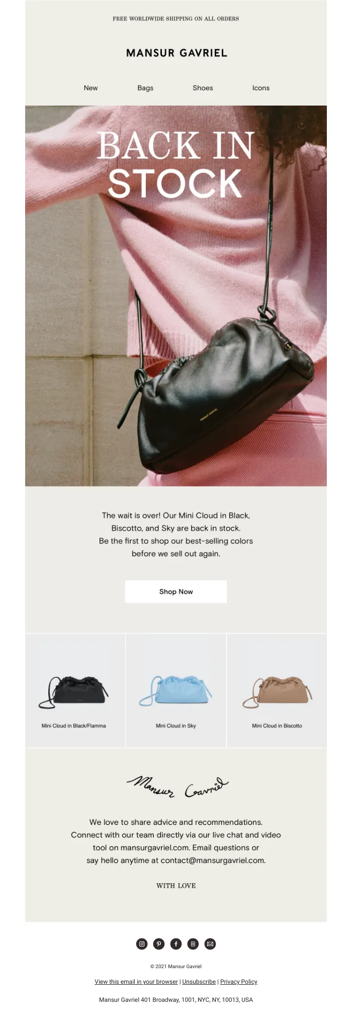 Back in Stock - Email Marketing Examples for eCommerce