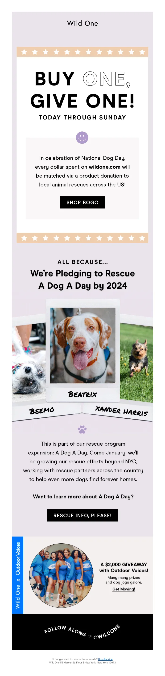 BOGO - Email Marketing Examples for eCommerce