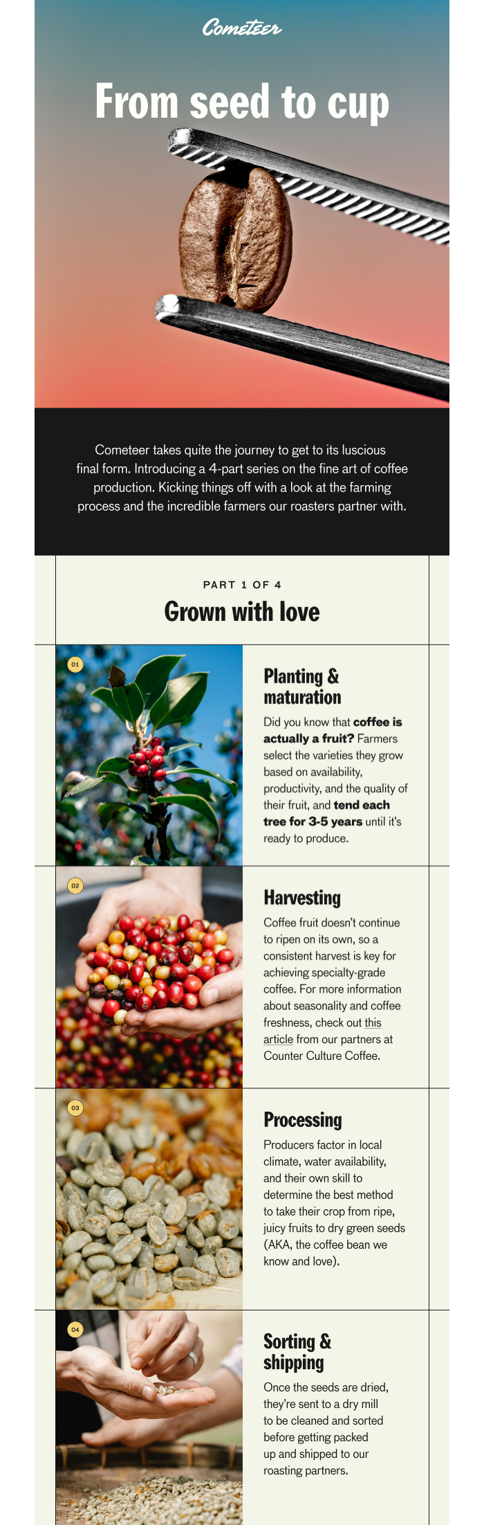 Email Marketing Best Practices by Coffee DTC Brands | Marketing