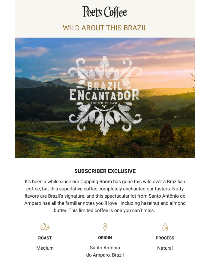 Email Marketing Best Practices by Coffee DTC Brands | Marketing