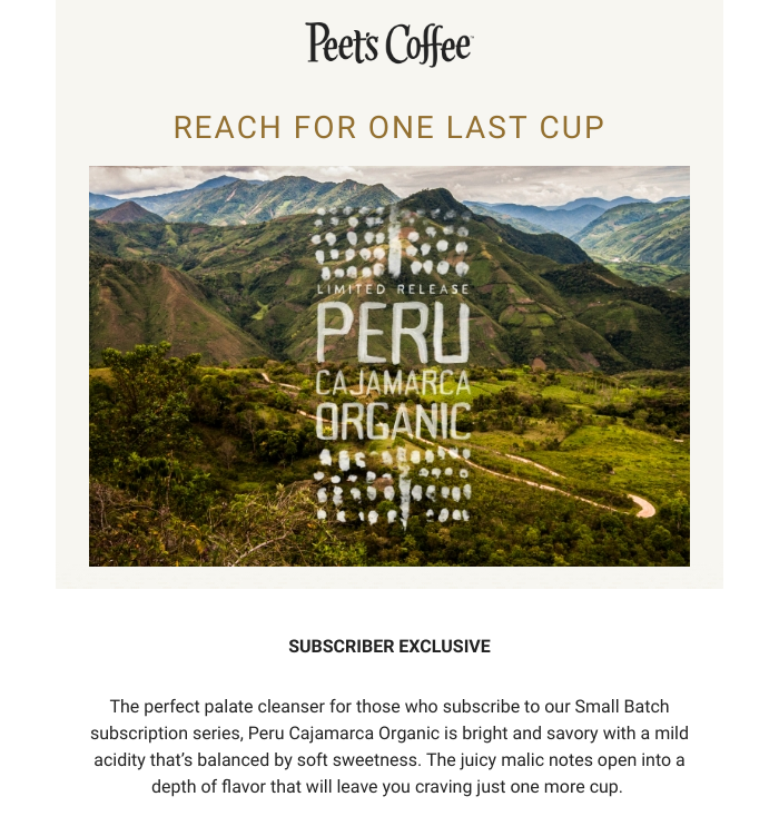 Email Marketing Best Practices by Coffee DTC Brands | Marketing