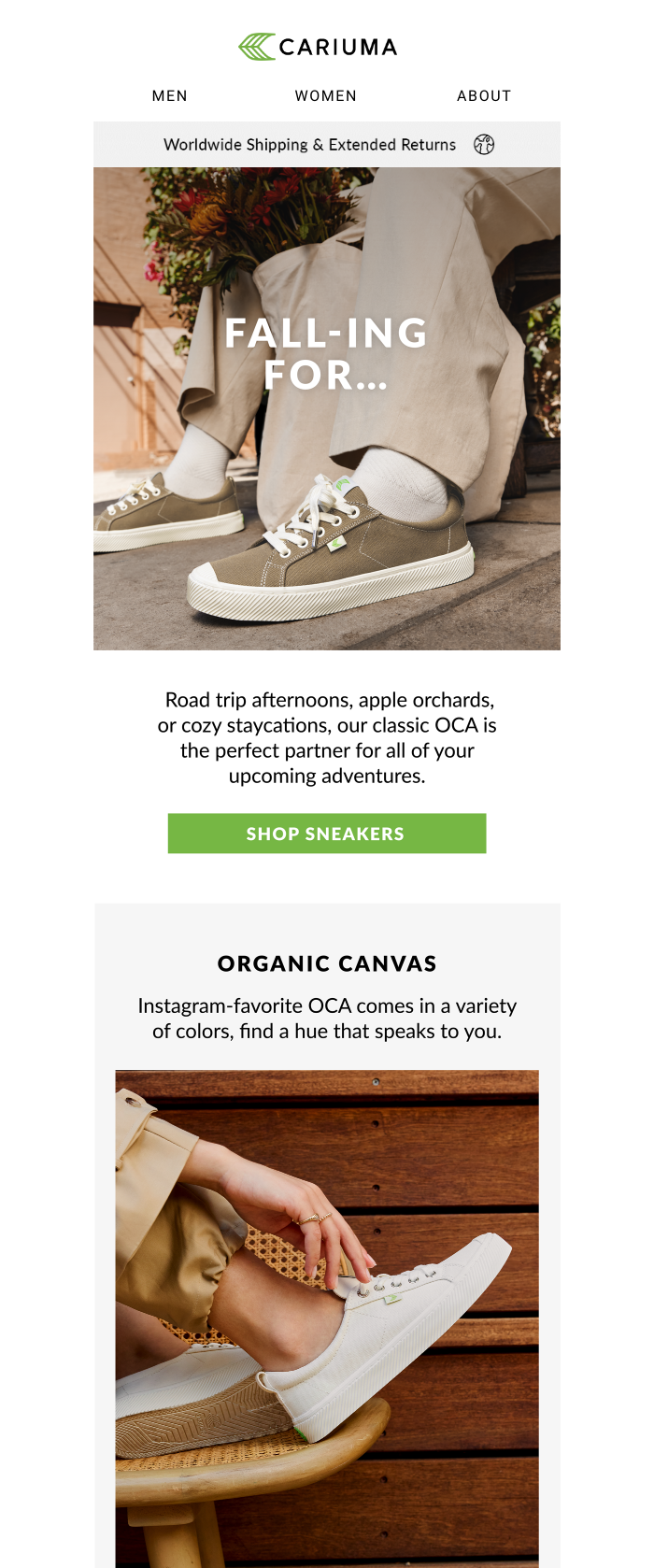 Email Marketing Strategies in the Shoe Industry [Best Practices ...