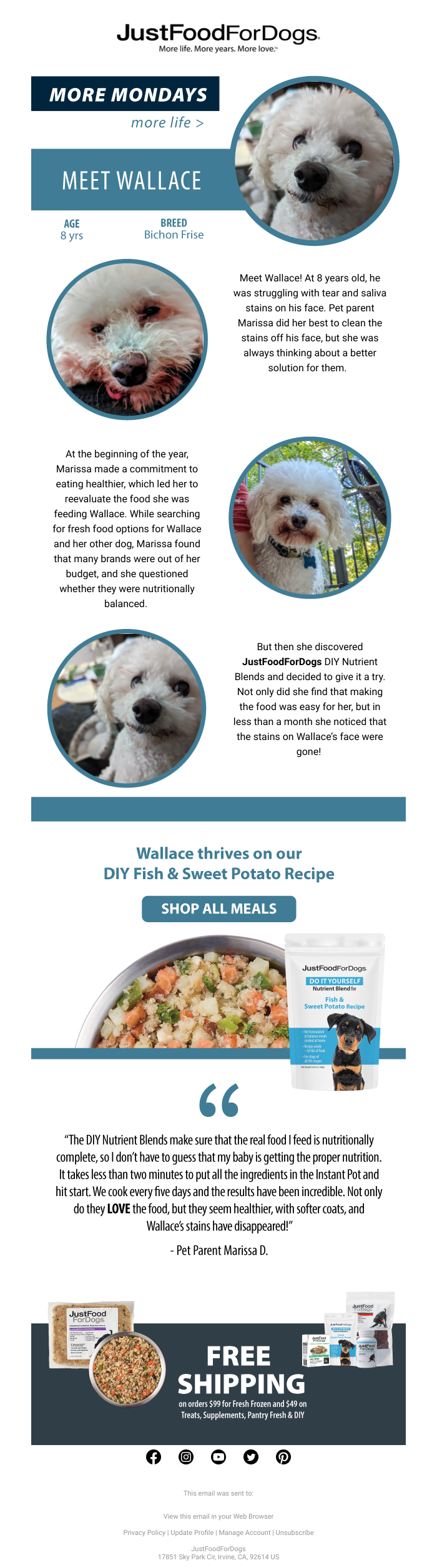 Pet Food Industry: Email Ideas and Best Practices | Marketing