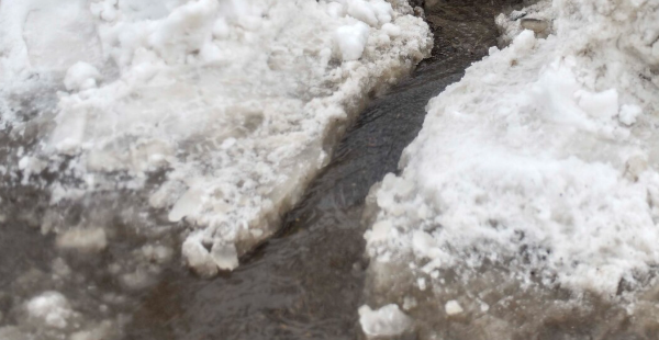 Stay Safe In The Snow Ice Snohomish Co Op