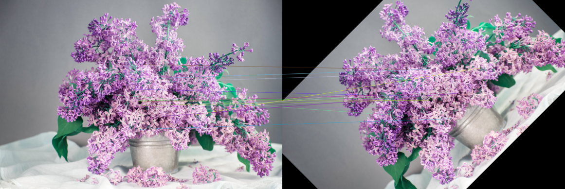 How We Built A Dataset Visual Similarity Search Feature — Picsellia