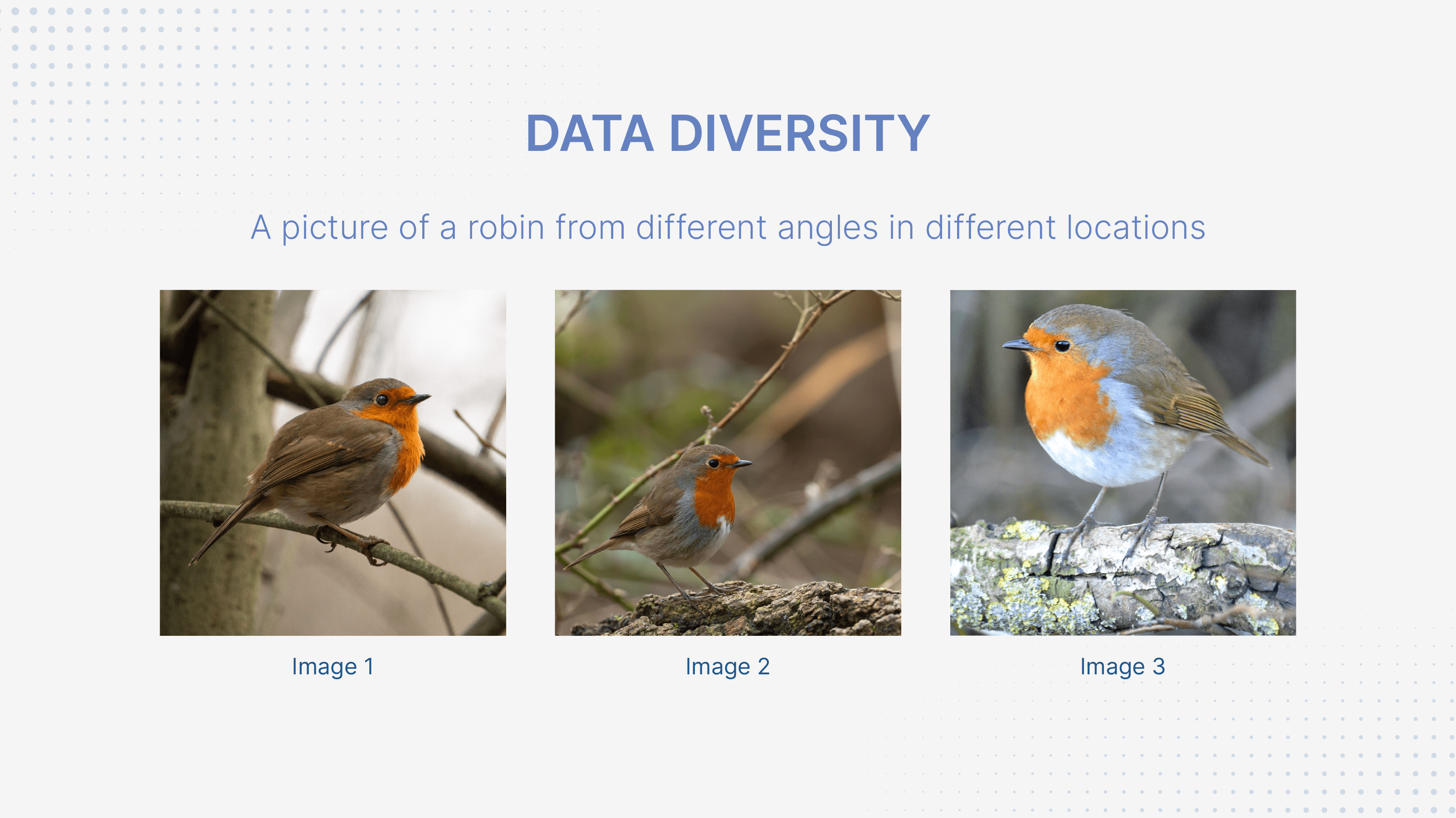How To Ensure Data Quality – Best Practices — Picsellia