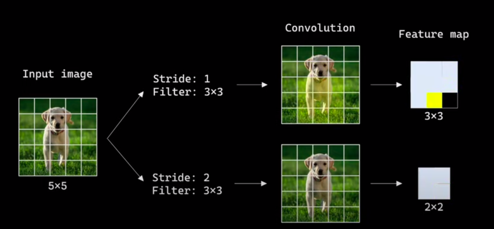 Image Embeddings explained — Picsellia