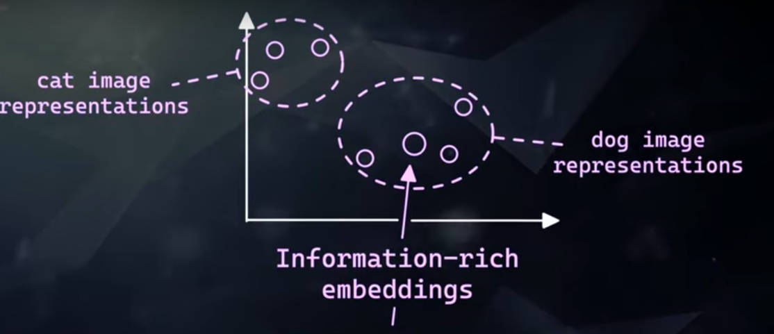 Image Embeddings explained — Picsellia