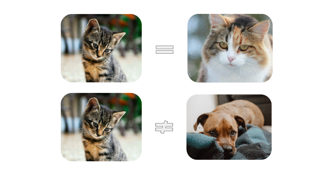 An In-Depth Guide to Contrastive Learning in AI — Picsellia