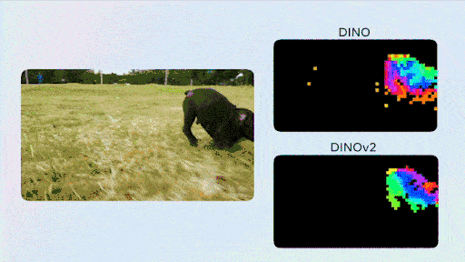 DINOv2 - Steps by steps explanations - Picsellia — Picsellia