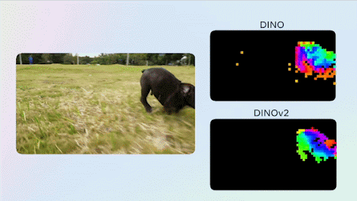 DINOv2 - Steps by steps explanations - Picsellia — Picsellia