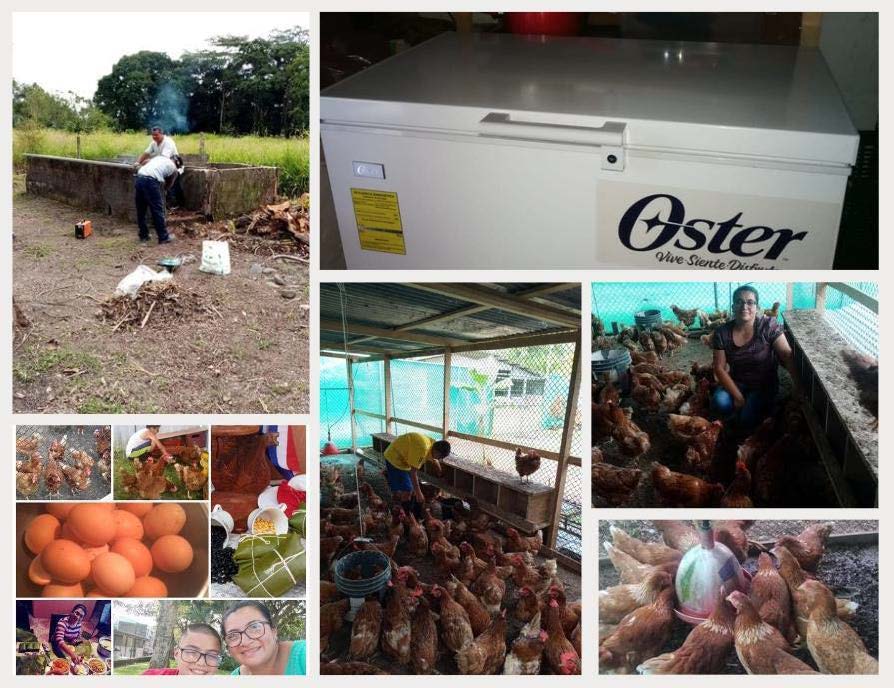 Stories of Impact: A Soleran Cares Update