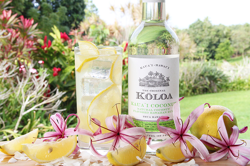 Coconut Ginger Lemonade Fizz