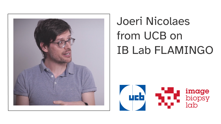 UCB & ImageBiopsy Lab: A Deep Dive into IB Lab Flamingo for Vertebral ...