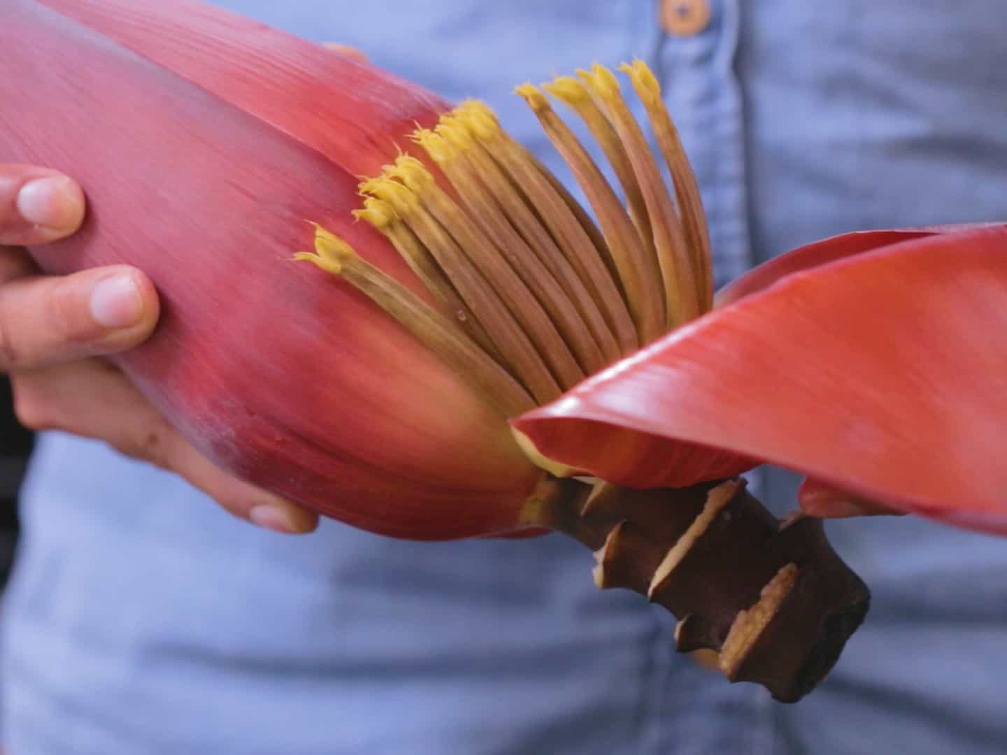 Jhinger Jhal—detailed recipe with video | Bong Eats recipe