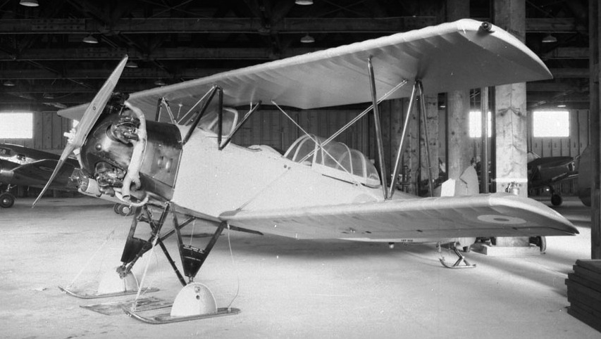 Canadian Warplanes 2: Fleet Fawn and Fleet Finch trainers