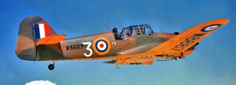 Canadian Warplanes 4: Miles Master and Miles Martinet