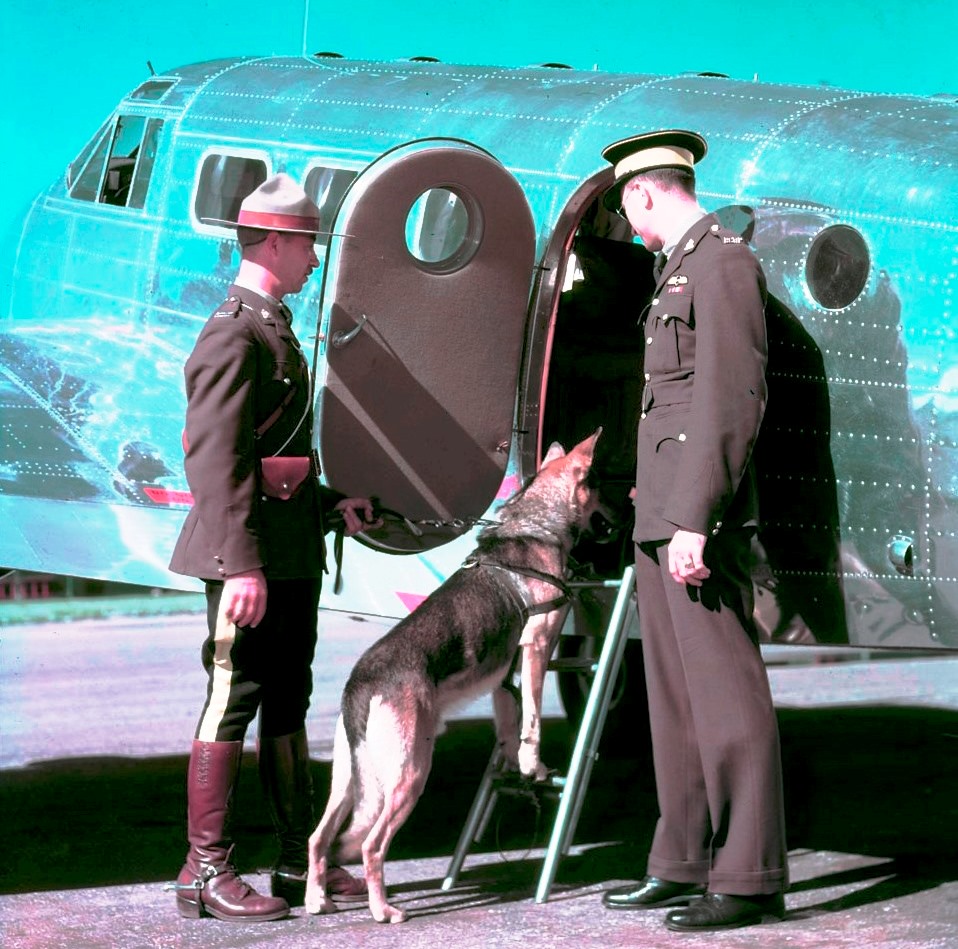 Royal Canadian Mounted Police (RCMP) Historical Photos