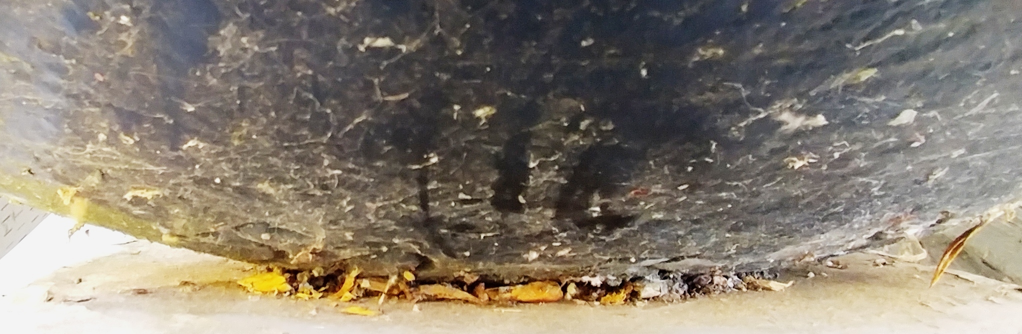 Artillery in Canada (5) Ontario: Kingston, Fort Frontenac