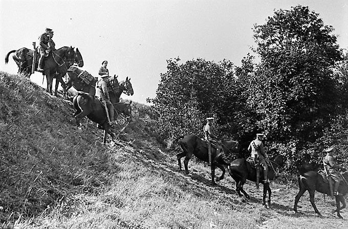 Canadian Expeditionary Force (3) Cavalry