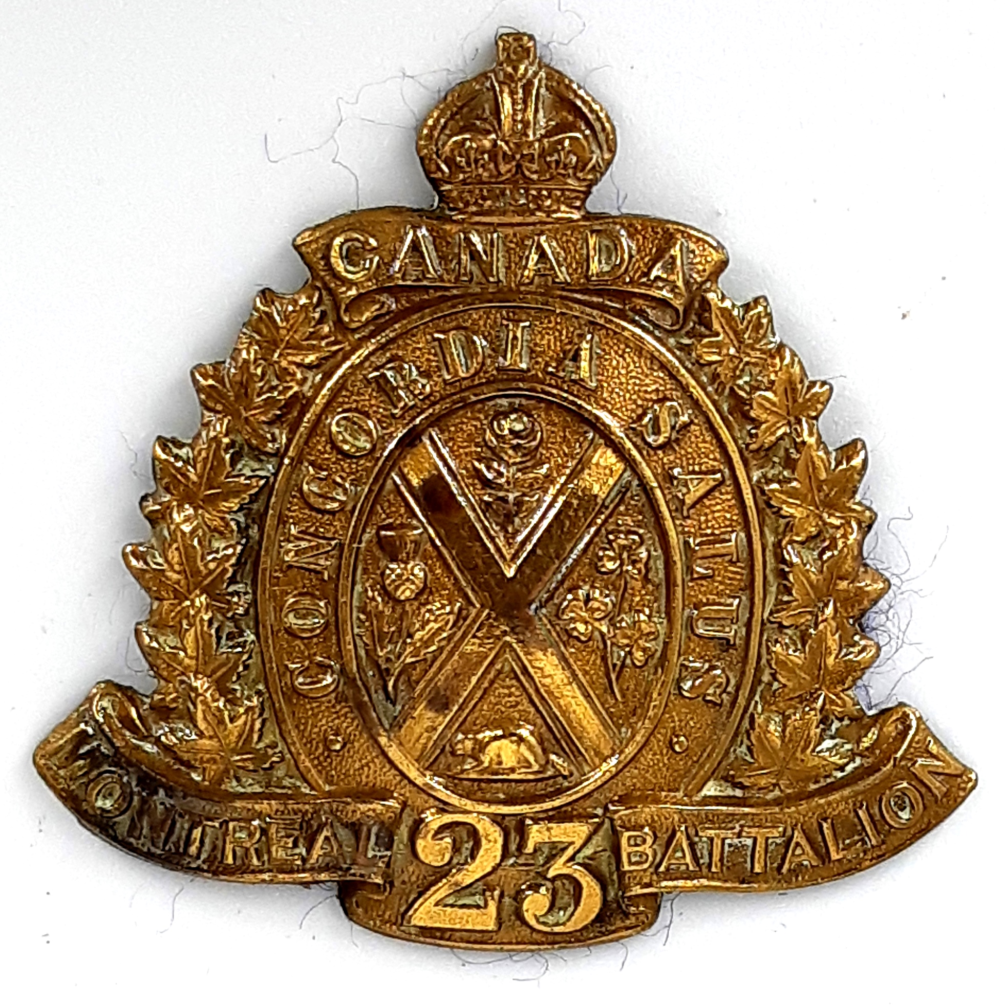 Canadian Expeditionary Force (1A) Training and Reserve Battalions, Nos ...