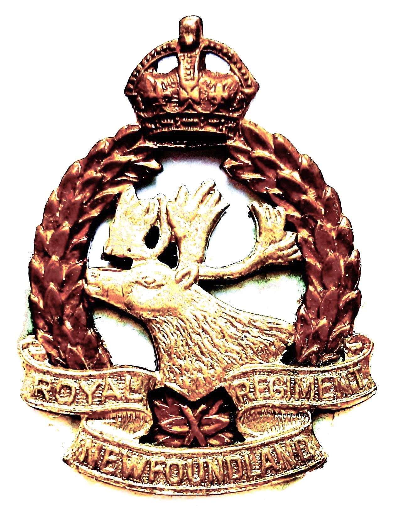 Canadian Militia badges, Infantry, Newfoundland