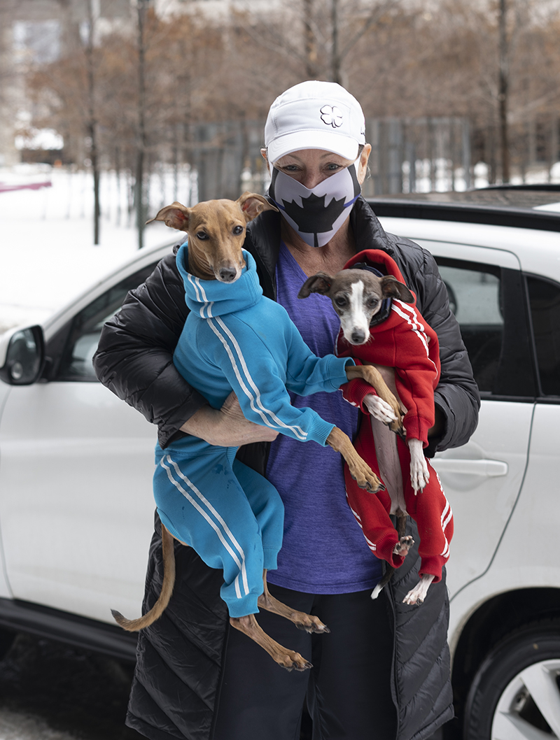 Drive With A Trusted Pet-Loving Company - Paws en route