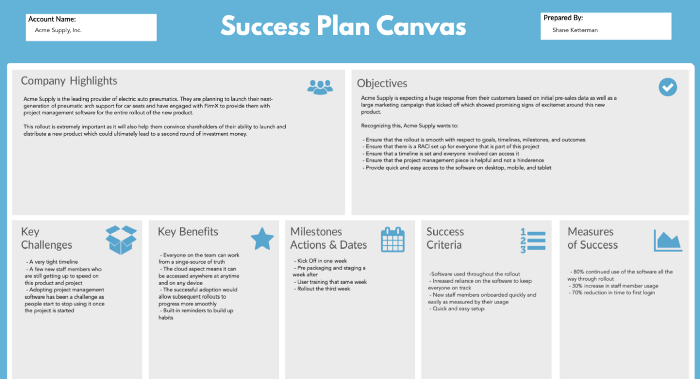 Why Customer Success Managers Need a Customer Success Plan