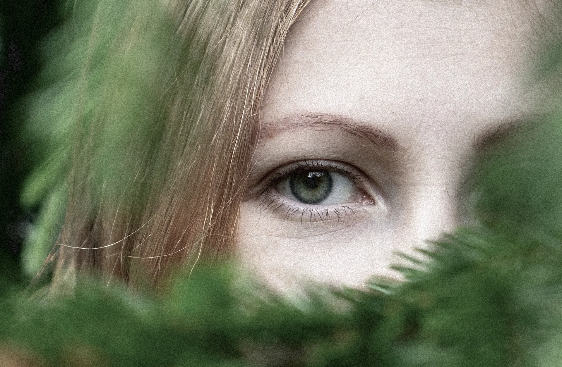 More Than Just Looks: Delving into the Impact of Visual Identity