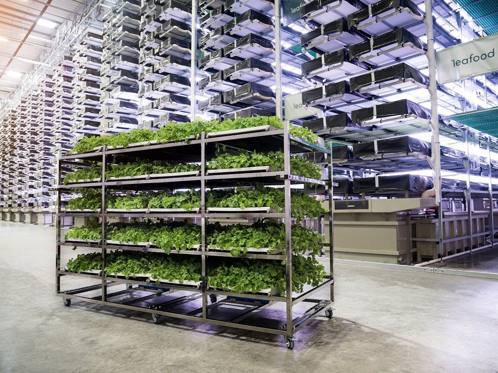 Leafood arrives at IKI grocery stores in Lithuania