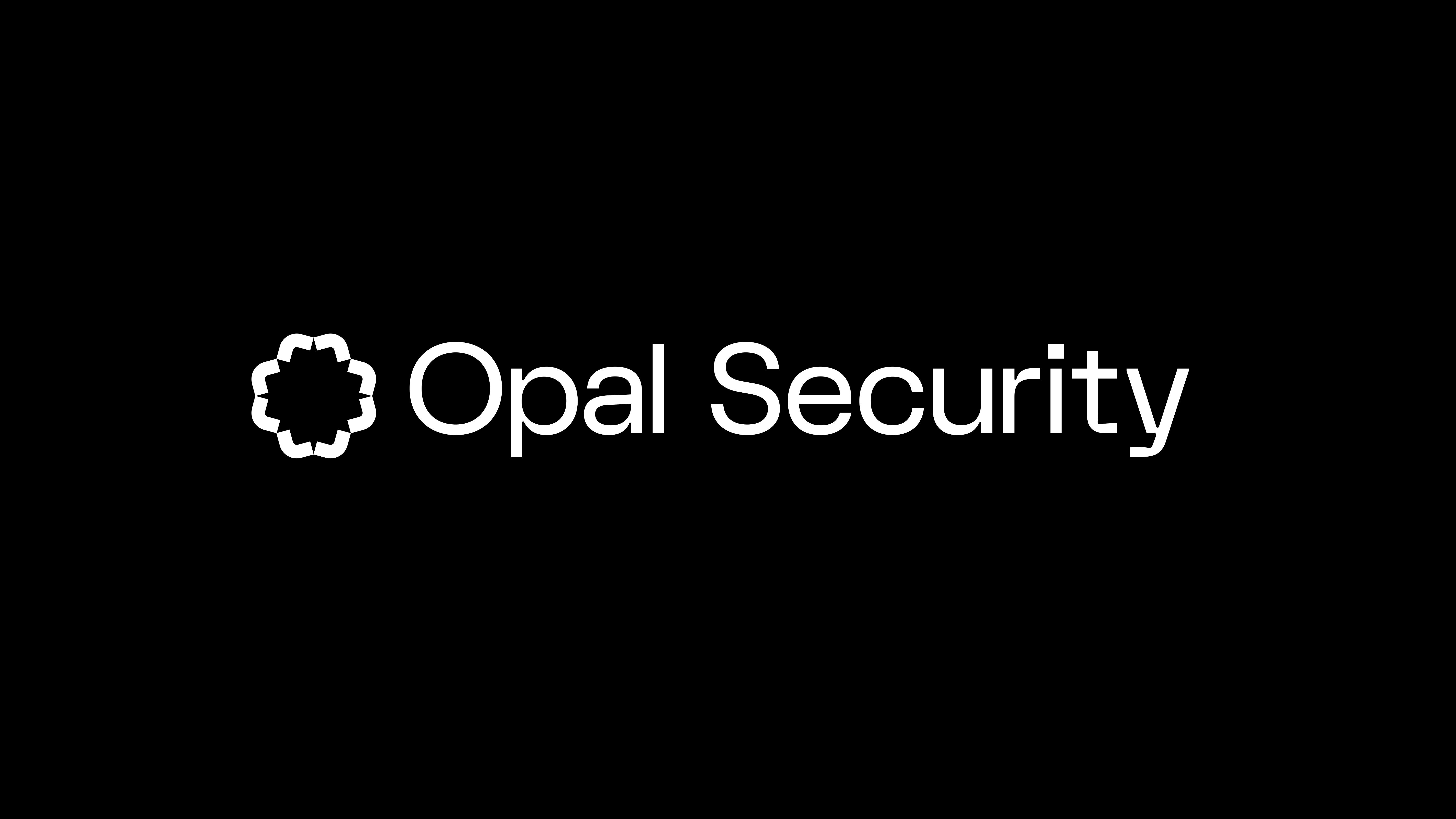 Opal | Modern, Data-Centric Identity Security | IAM