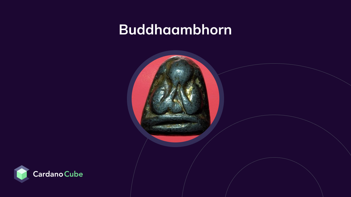 Buddhaambhorn (NFT) on the Cardano Blockchain | Prices, Charts, Teams ...