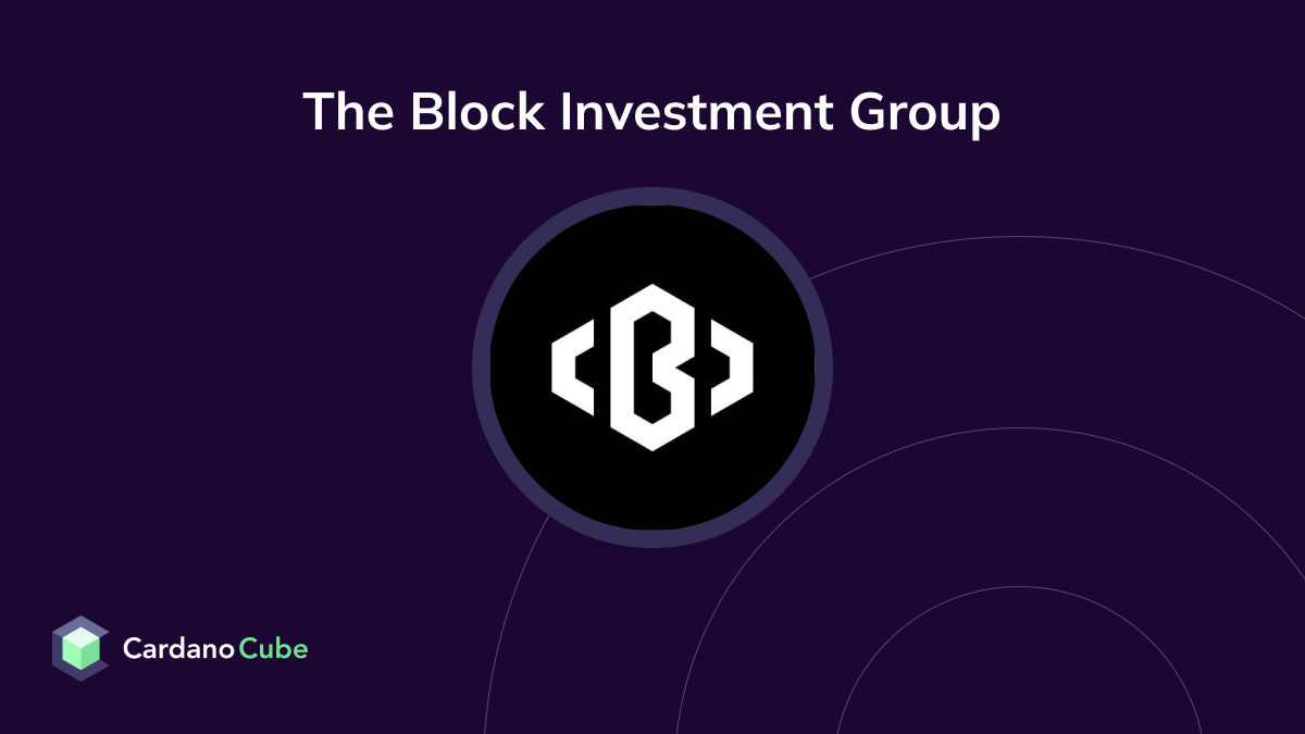 The Block Investment Group (BIG) on the Cardano Blockchain | Prices ...