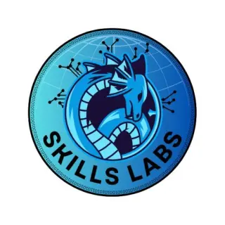 Skills Labs (SKILL) on the Cardano Blockchain | Prices, Charts, Teams & Ratings - CardanoCube.com