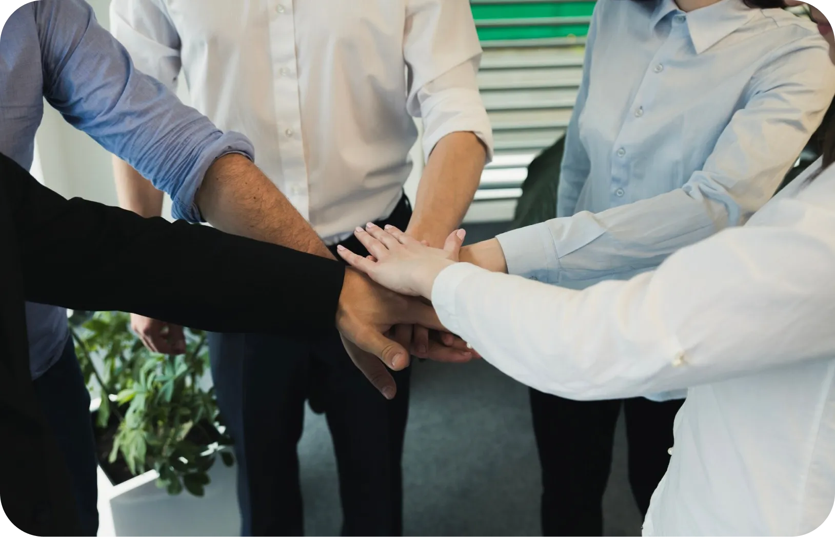 Execute Your Vision for Unparalleled Customer Service | EverAfter