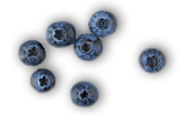 Bessen - Home of Quality - Coöperatie Hoogstraten