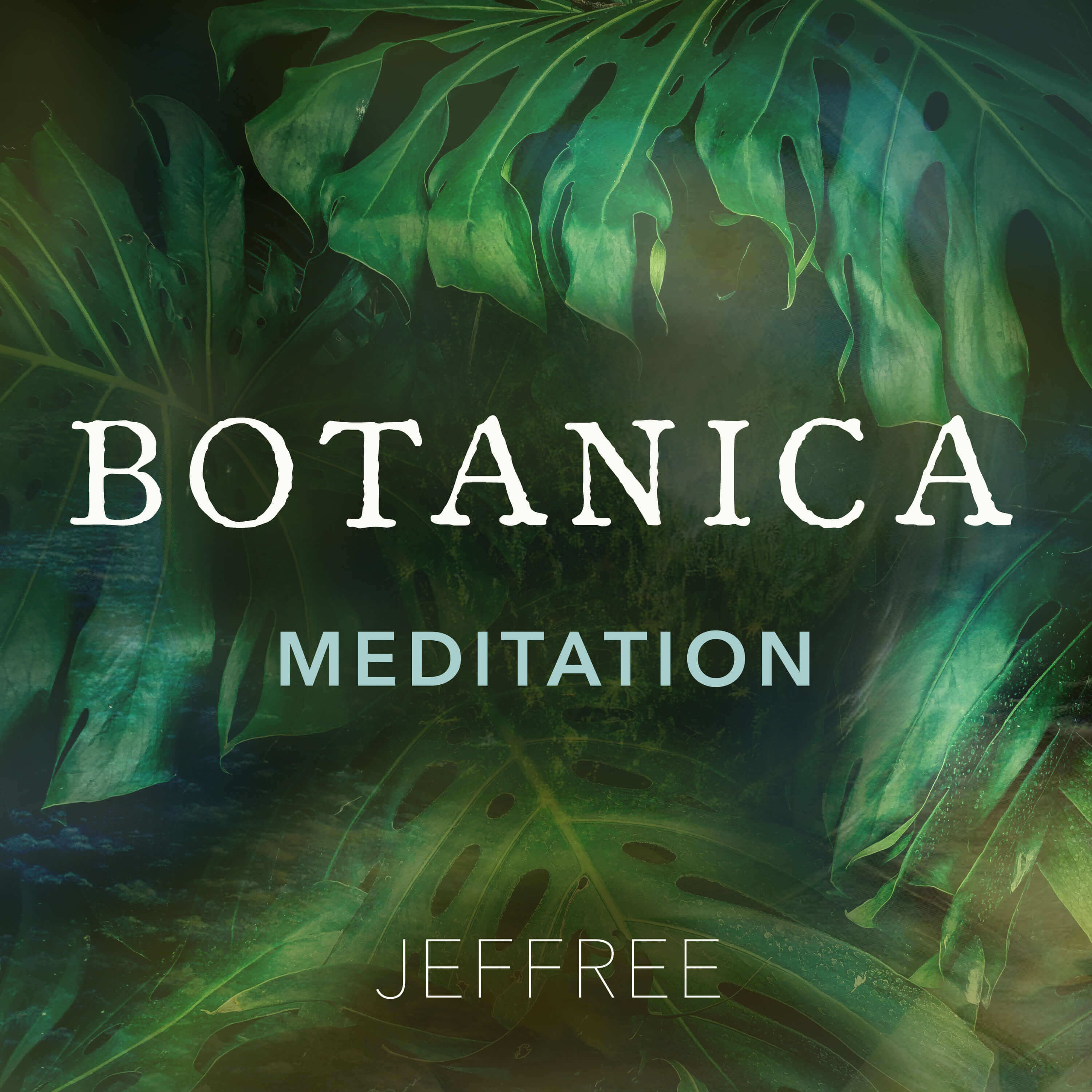 Botanica Meditation | Jeffree Music