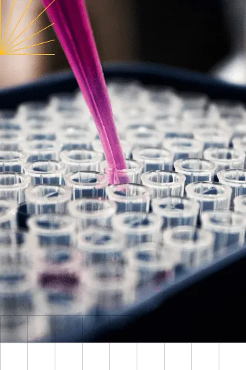 Sabin Metal | Andrew Sabin Family Foundation