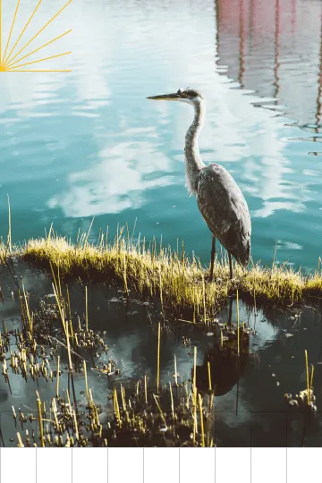 Sabin Metal | Andrew Sabin Family Foundation