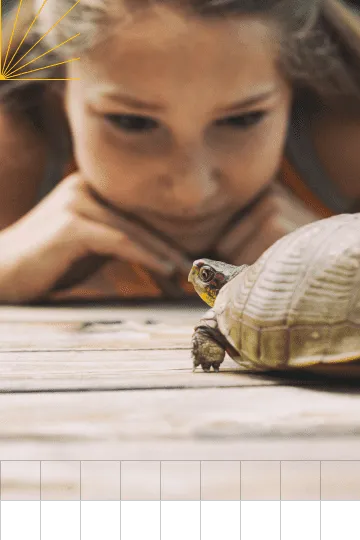 Sabin Metal | Andrew Sabin Family Foundation