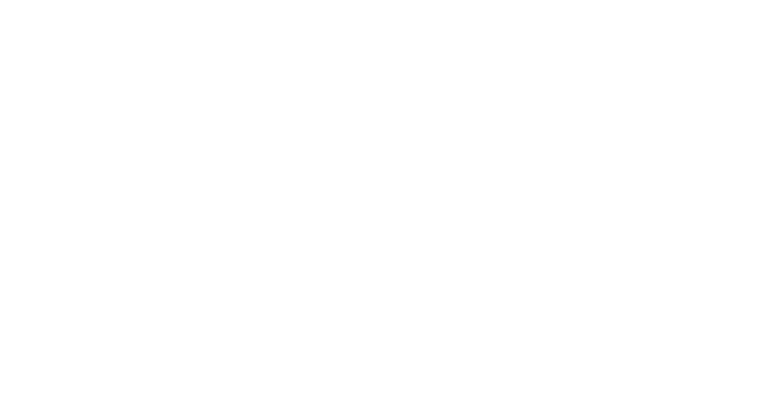 Dash Burger - Smash Burgers & Fries