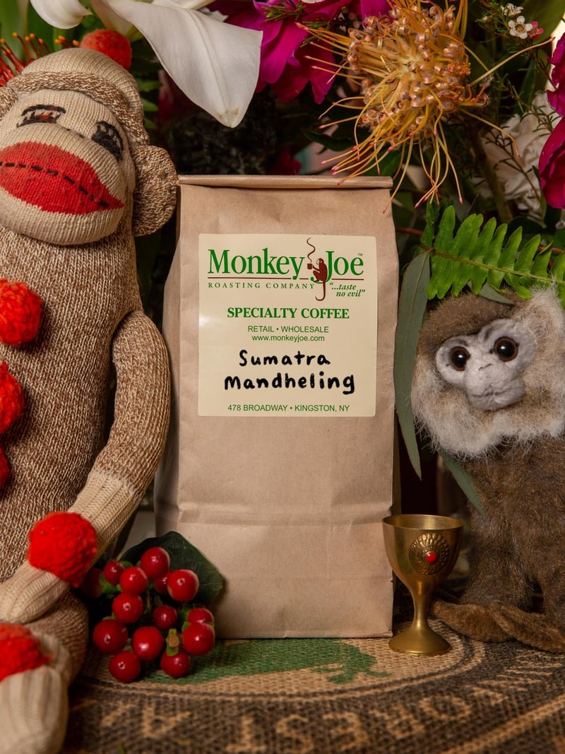 Home [www.monkeyjoe.com]