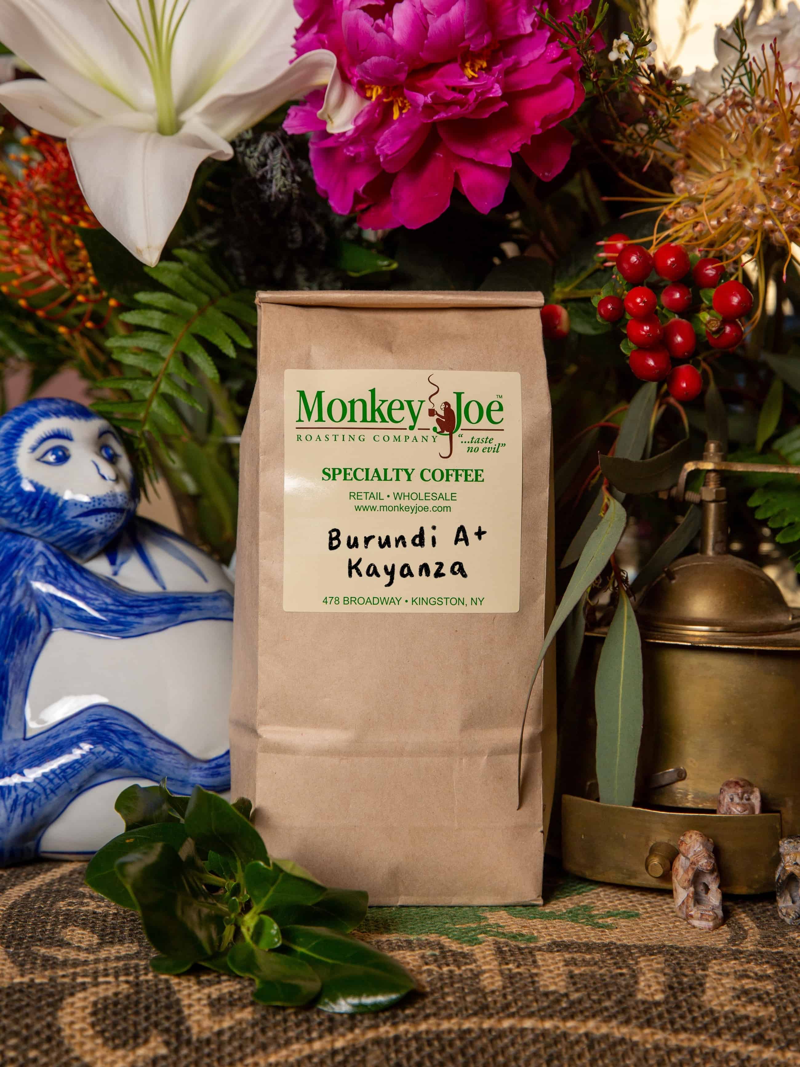 Home [www.monkeyjoe.com]