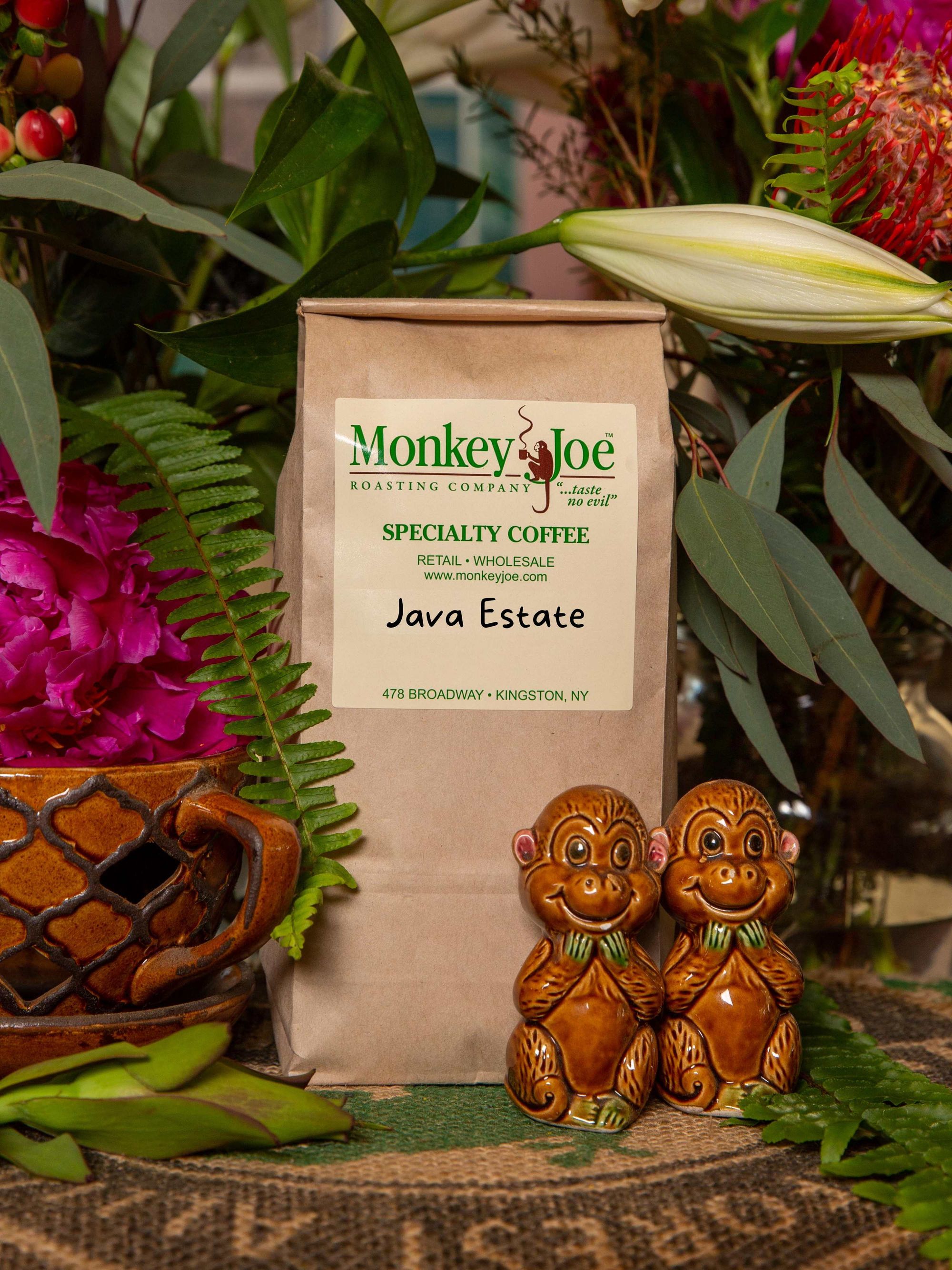 Home [www.monkeyjoe.com]