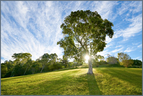 Health benefits of being outside - Dr. Shimi Kang