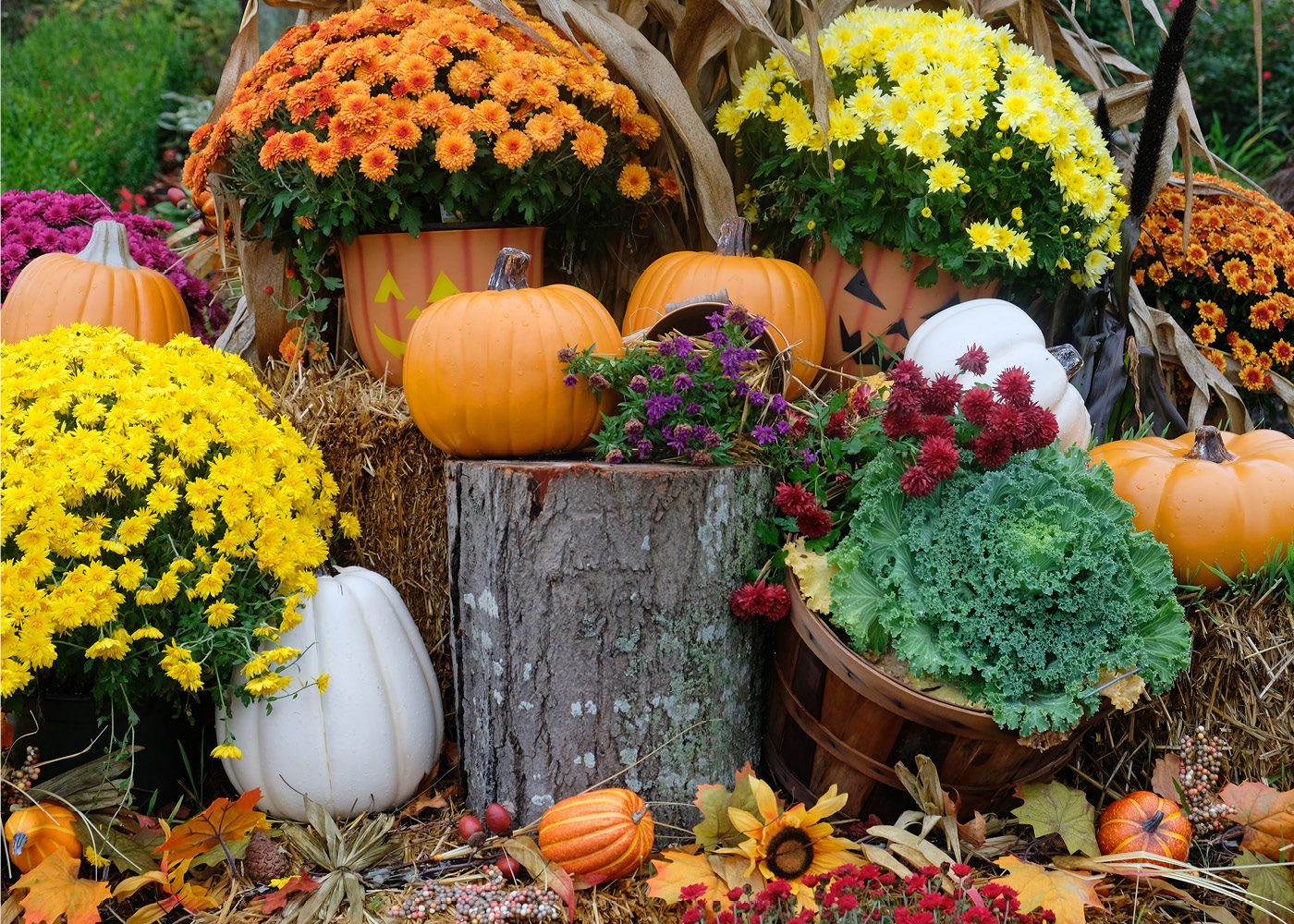Fall Garden Checklist | Blog | Commercial Lighting