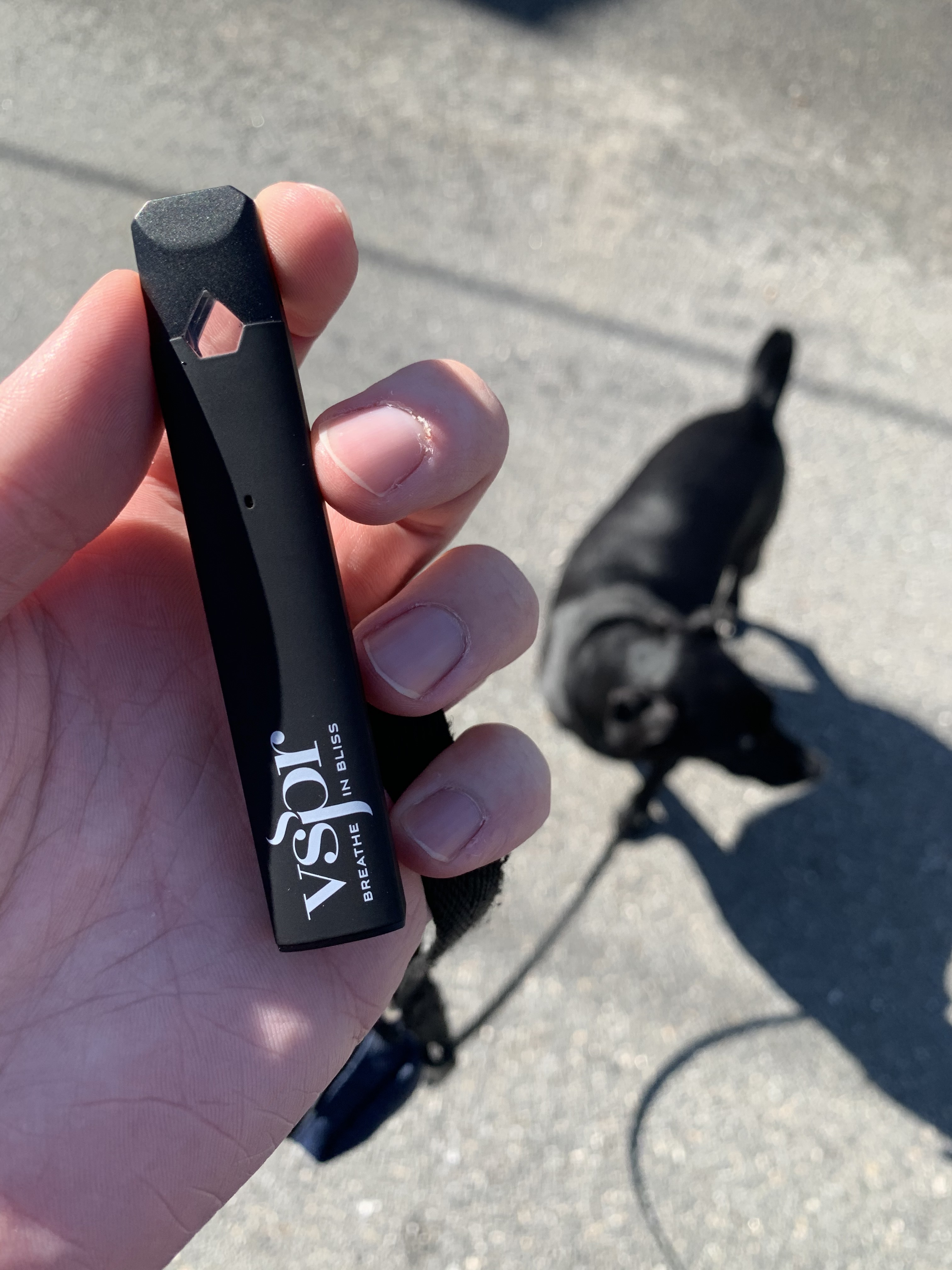 Learn More About Our VSPR Distillate Cartridges | Temescal Wellness