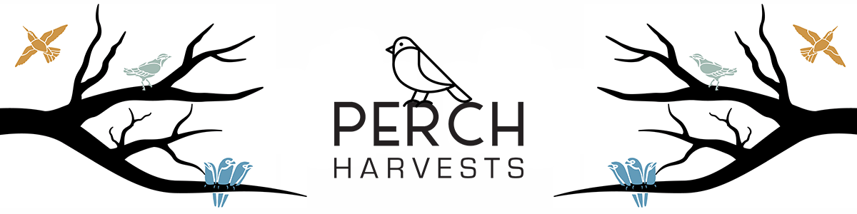 Perch Harvests Cannabis Flower | Temescal Wellness