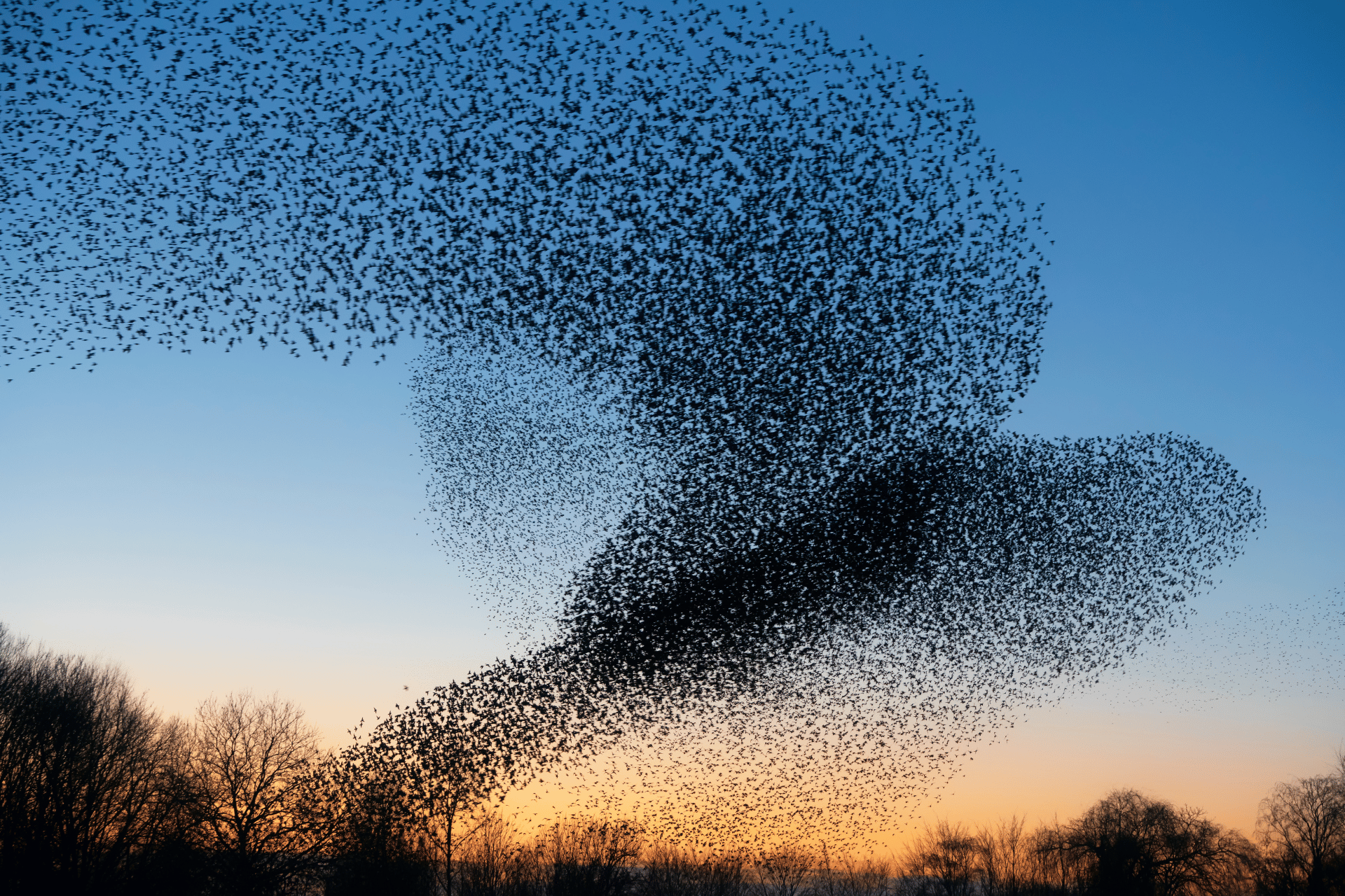 What is Grid Orchestration?