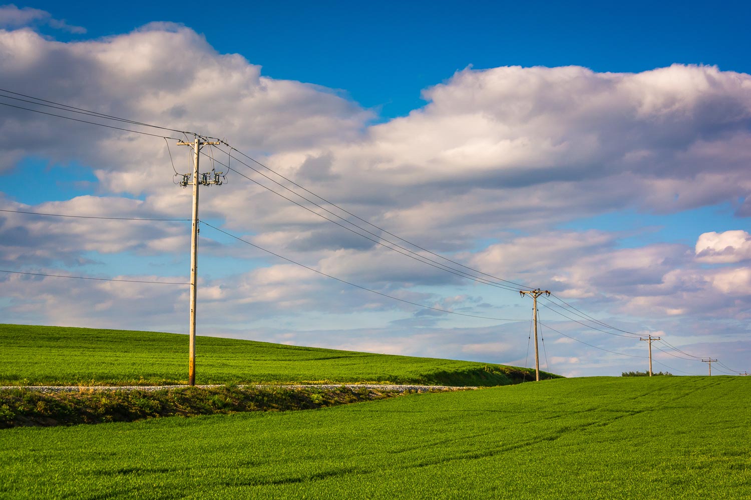 The Rise of Local Grid Management White Paper Series | Camus Energy